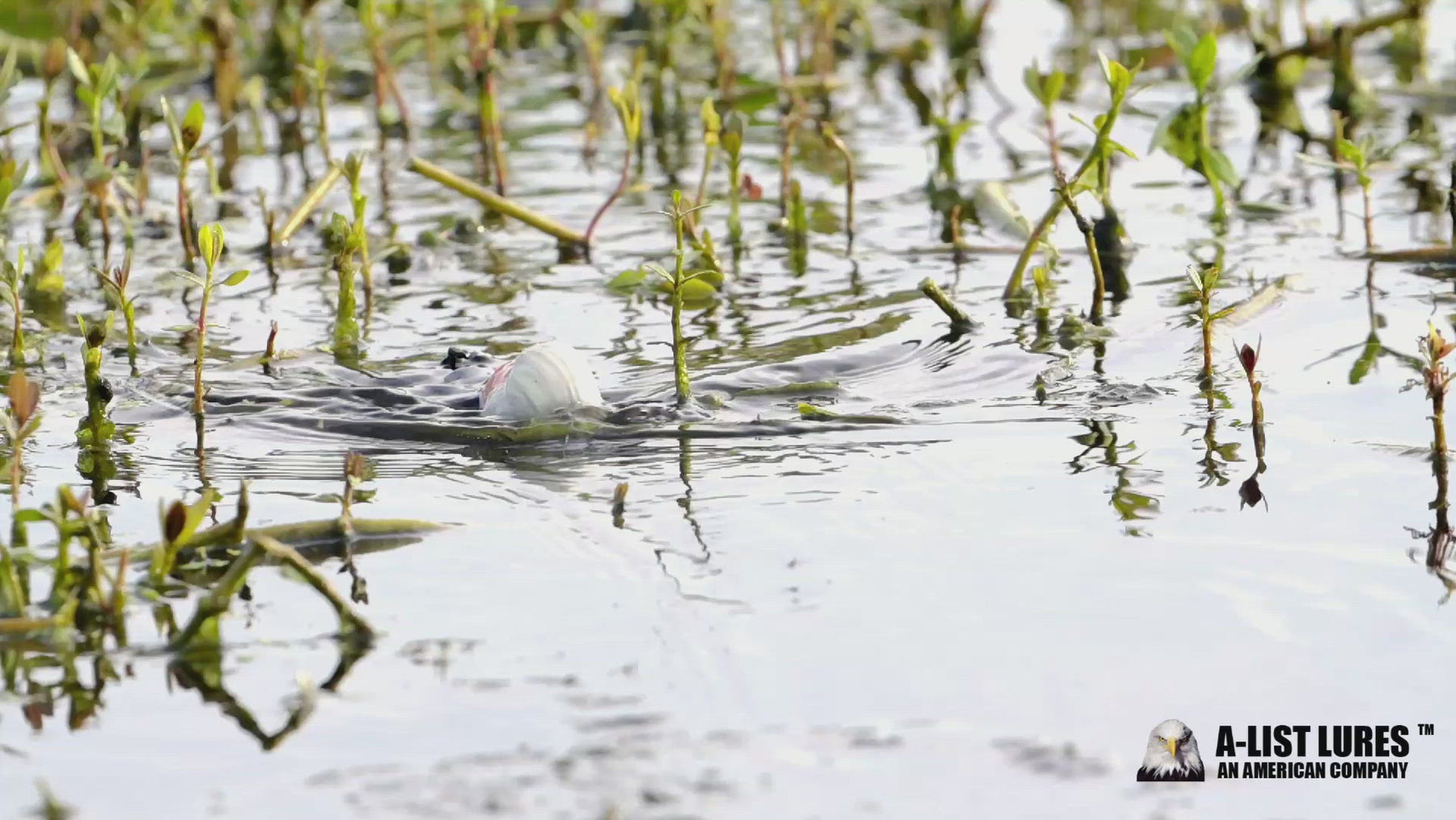 Trump Topwater Fishing Lure – Line Cutterz